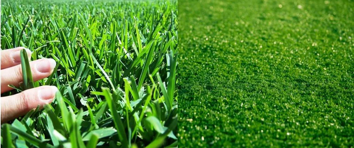 Artificial Turf vs. Natural Grass: Which is Better for Sports Fields ...